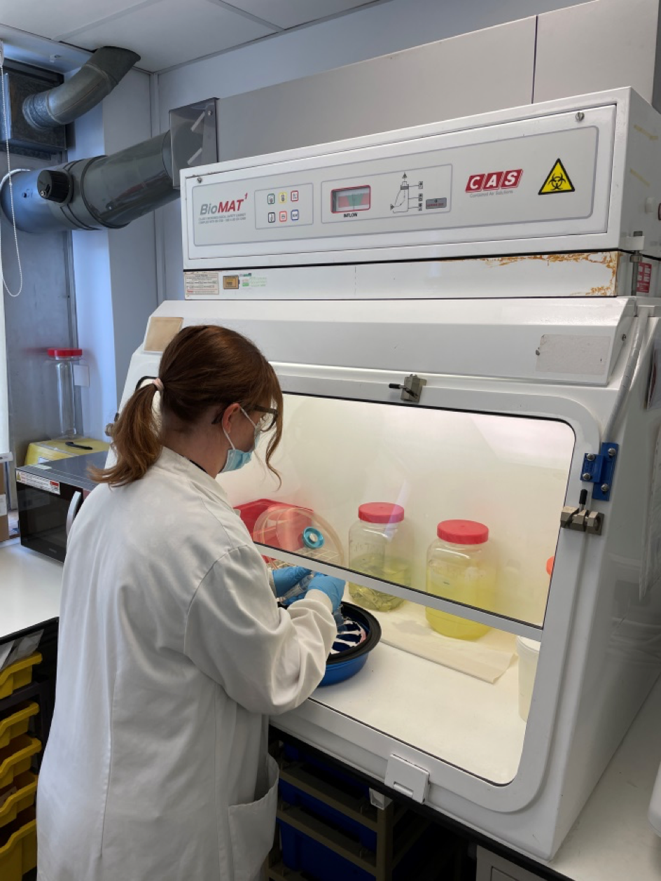 Spotlight on: Chelsea Palmer, Biomedical Scientist. – A Muggle's Laboratory